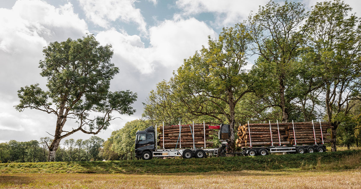 Forest and timber trucks